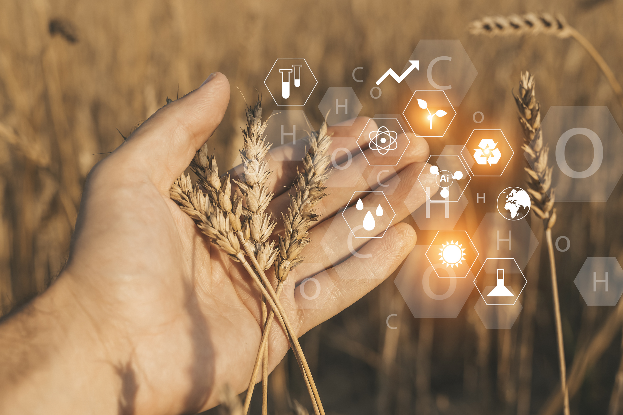 Mycotoxin Risks in the Food & Feed Supply Chain: Leveraging the power ... Mycotoxin Risks in the Food & Feed Supply Chain: Leveraging the power ...