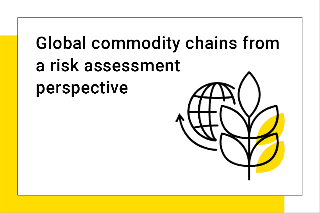 Conference on “Global commodity chains from a risk assessment ...